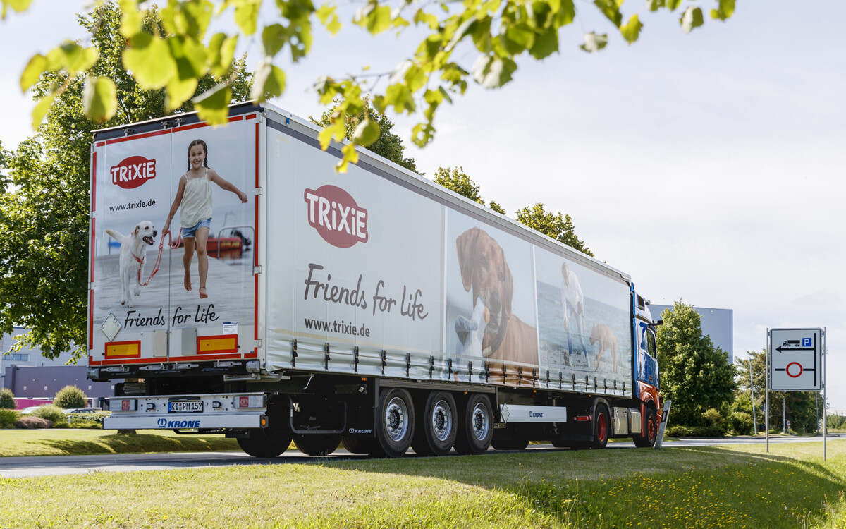 Custom lettering for Trixie - Fontwerk